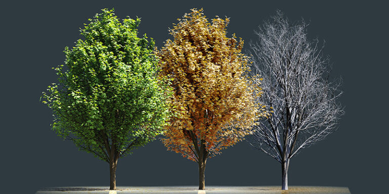 Amazing Blender Plants Addons and Vegetation Asset Packs - InspirationTuts