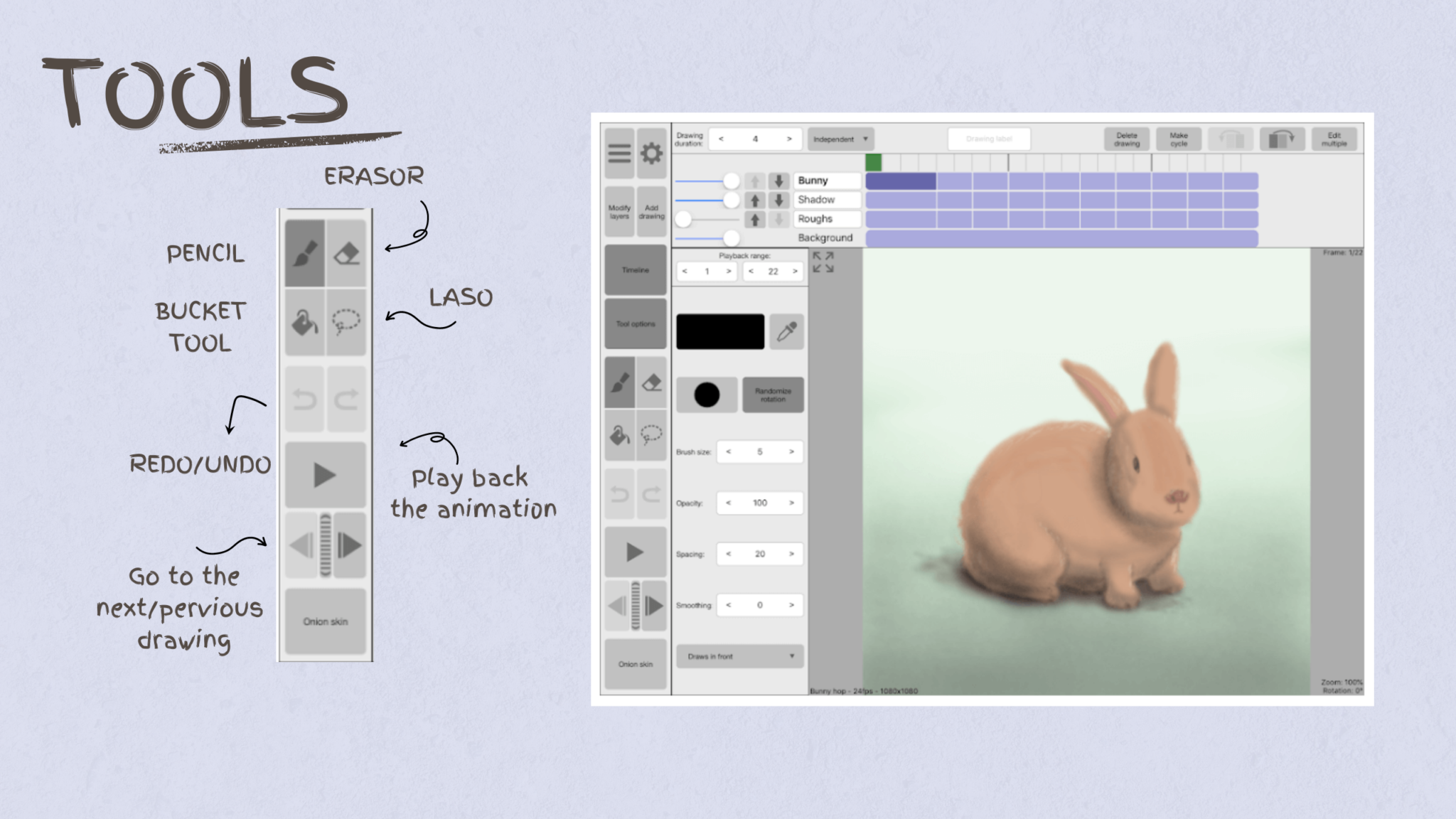 Flipaclip vs Rough Animator | Which One to Choose? - InspirationTuts